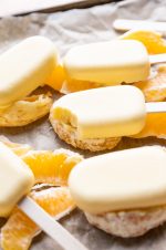 Orange Ice Cream Bars - Fresh Water Peaches