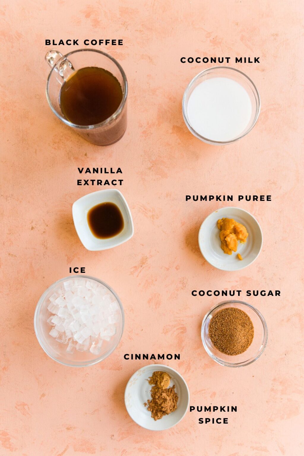 Pumpkin Spice Iced Coffee Recipe (Dairy-Free) - Fresh Water Peaches